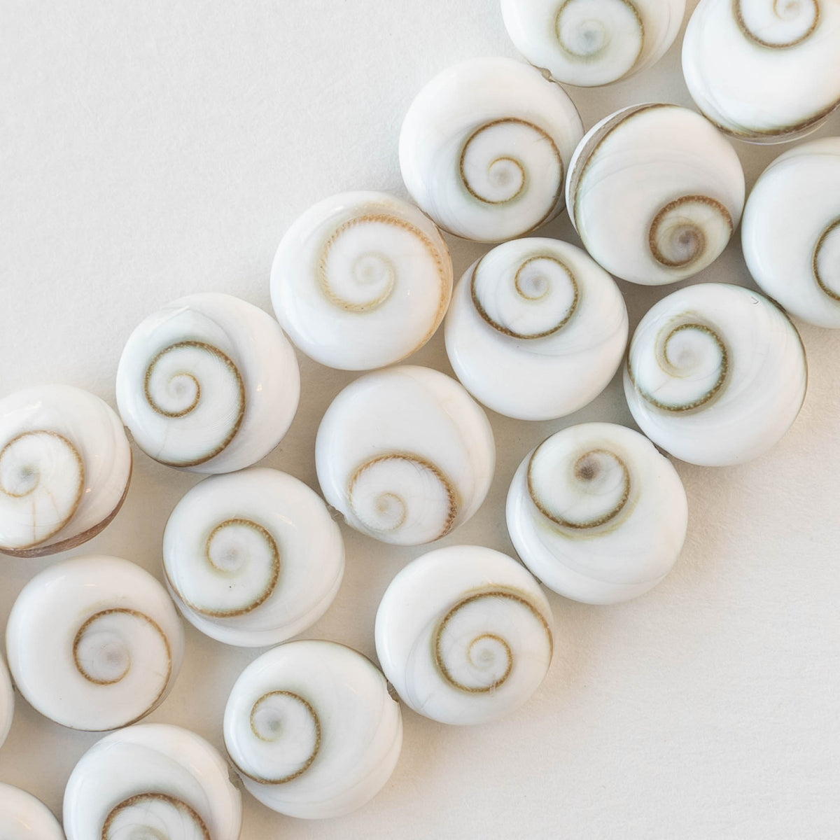 Shiva Shell Beads - 10mm Coin - 10 or 30 beads – funkyprettybeads
